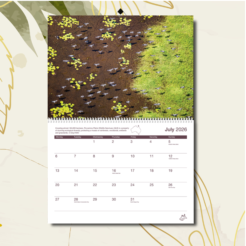 2026 Australian Wildlife Conservancy Wall Calendar - Australian ...