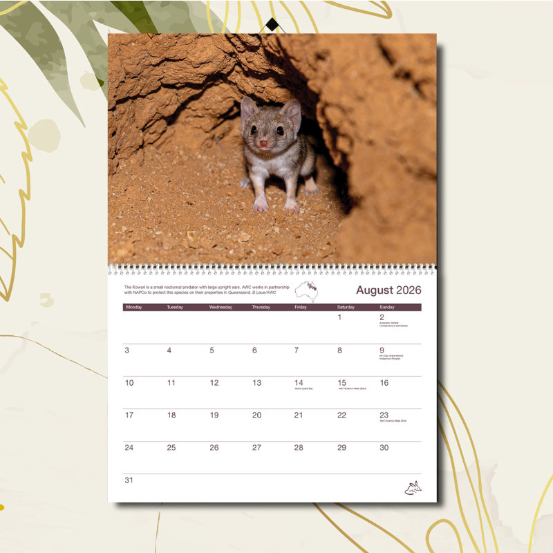 2026 Australian Wildlife Conservancy Wall Calendar - Australian ...