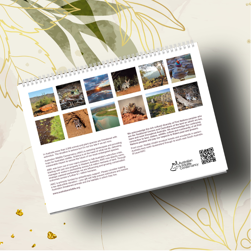 2026 Australian Wildlife Conservancy Wall Calendar - Australian ...